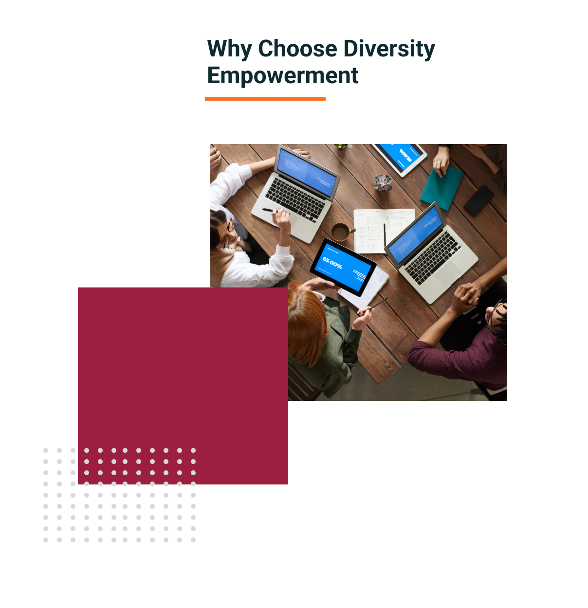 Skills Development – Diversity Empowerment
